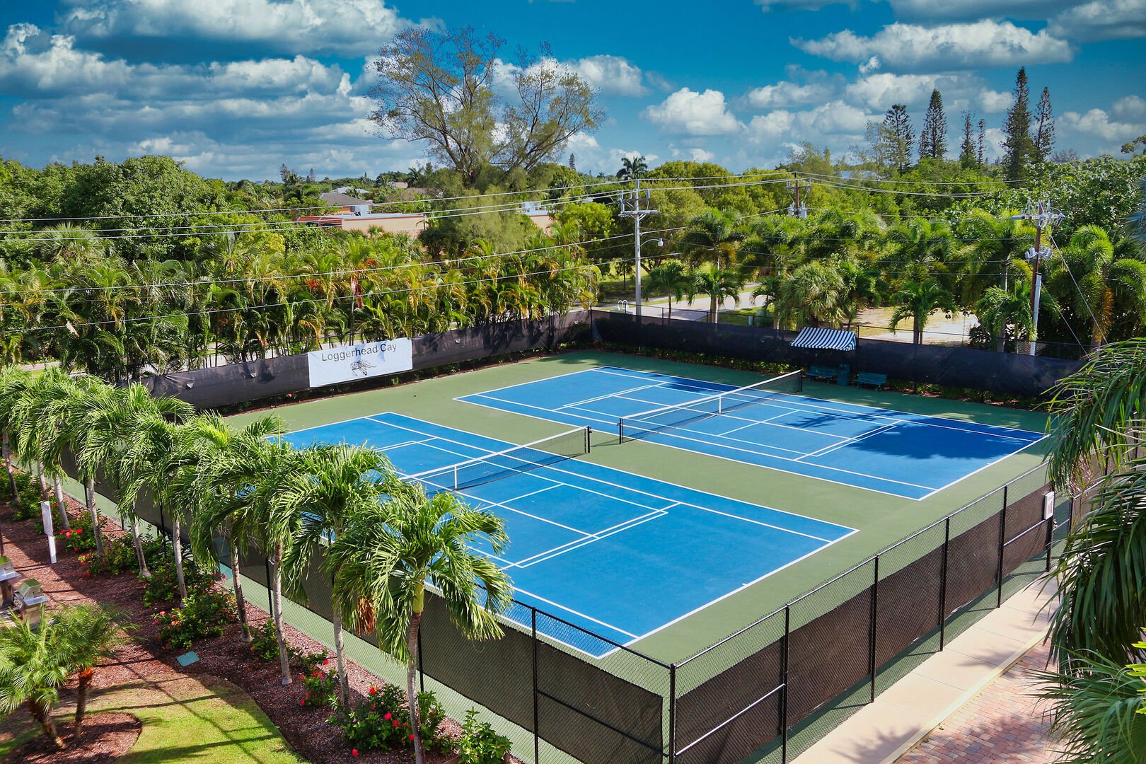 Loggerhead Cay #314 - Beach Vacation Rental