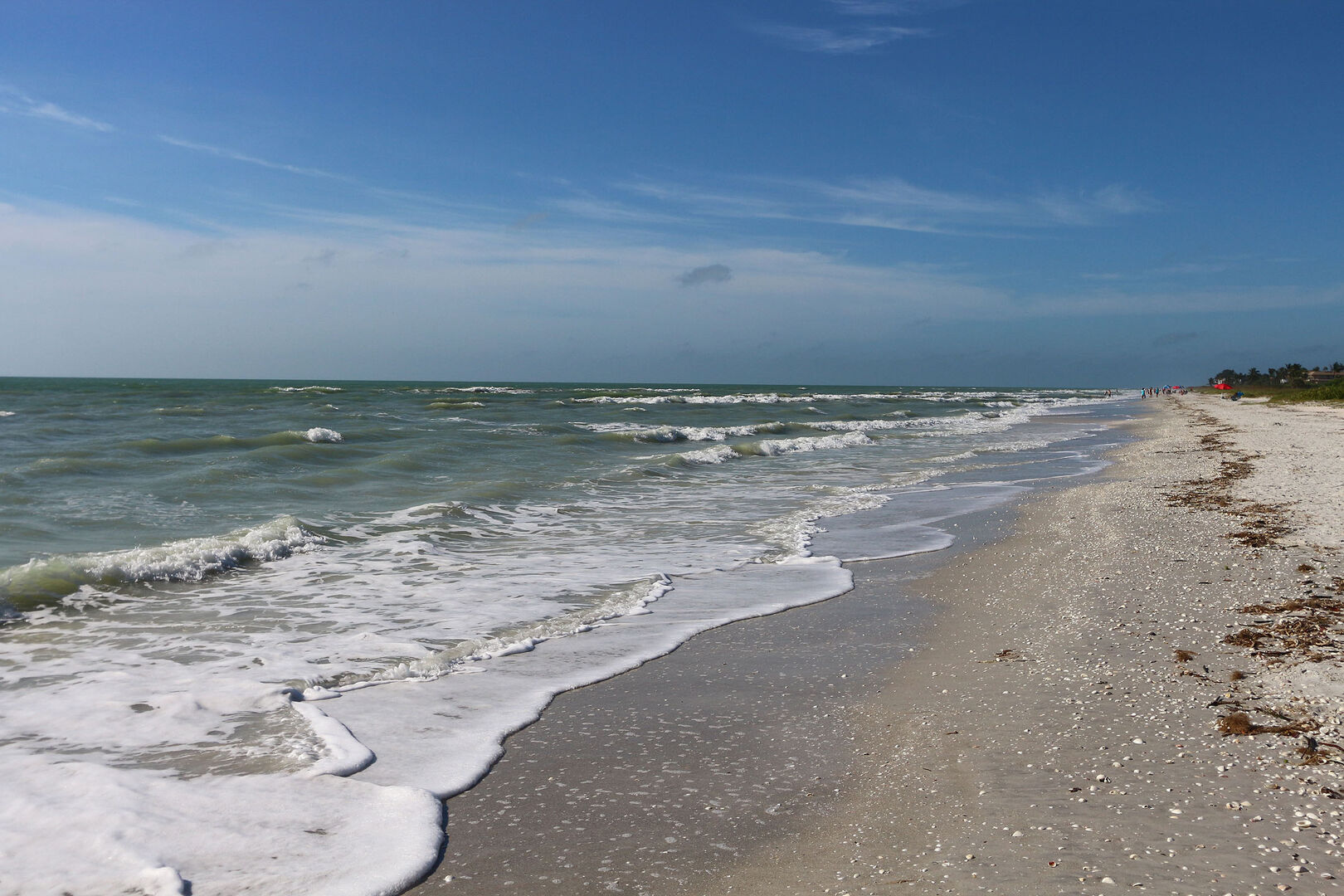 Loggerhead Cay #314 - Beach Vacation Rental