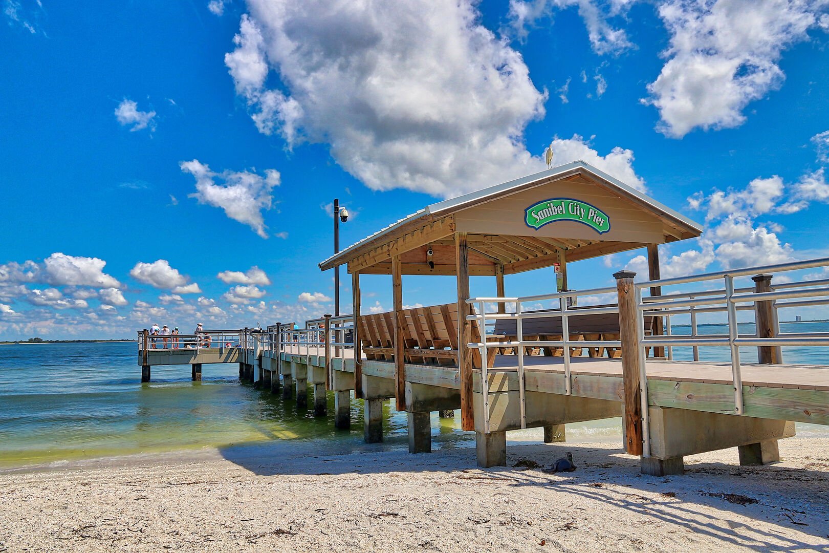 Loggerhead Cay #314 - Beach Vacation Rental